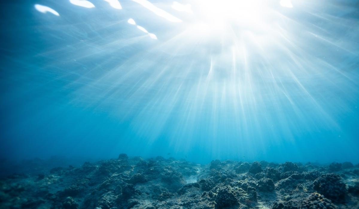 How warming seas are impacting fisheries across the globe - Sustainable ...