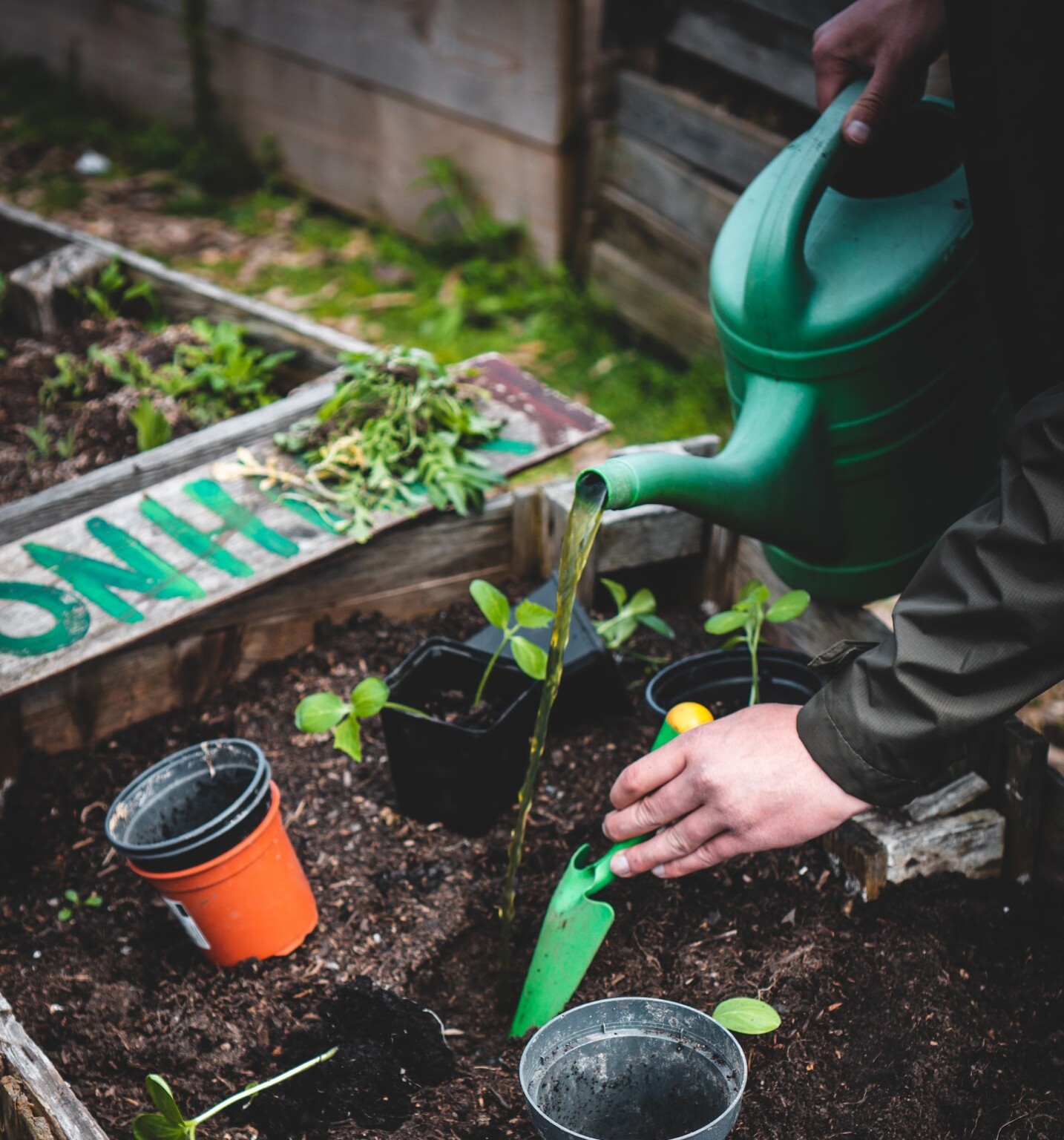 An Action Plan for Greener Prisons | Sustainable Food Trust