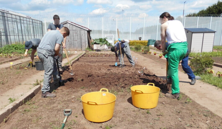 The power of food for rehabilitation in prisons | Sustainable Food Trust